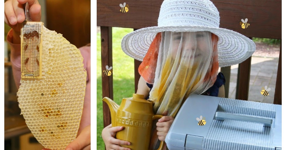 Honey Bee Theme Ideas for Kids | Still Playing School