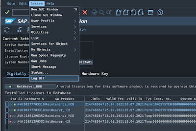 SAP ABAP Central: Install ABAP Platform 1909 – Dev Edition on an Azure Ubuntu instance using ...