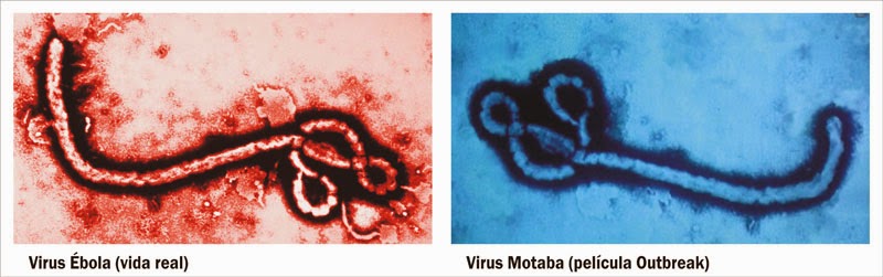 Hollywood Decodificado: El plan Ébola