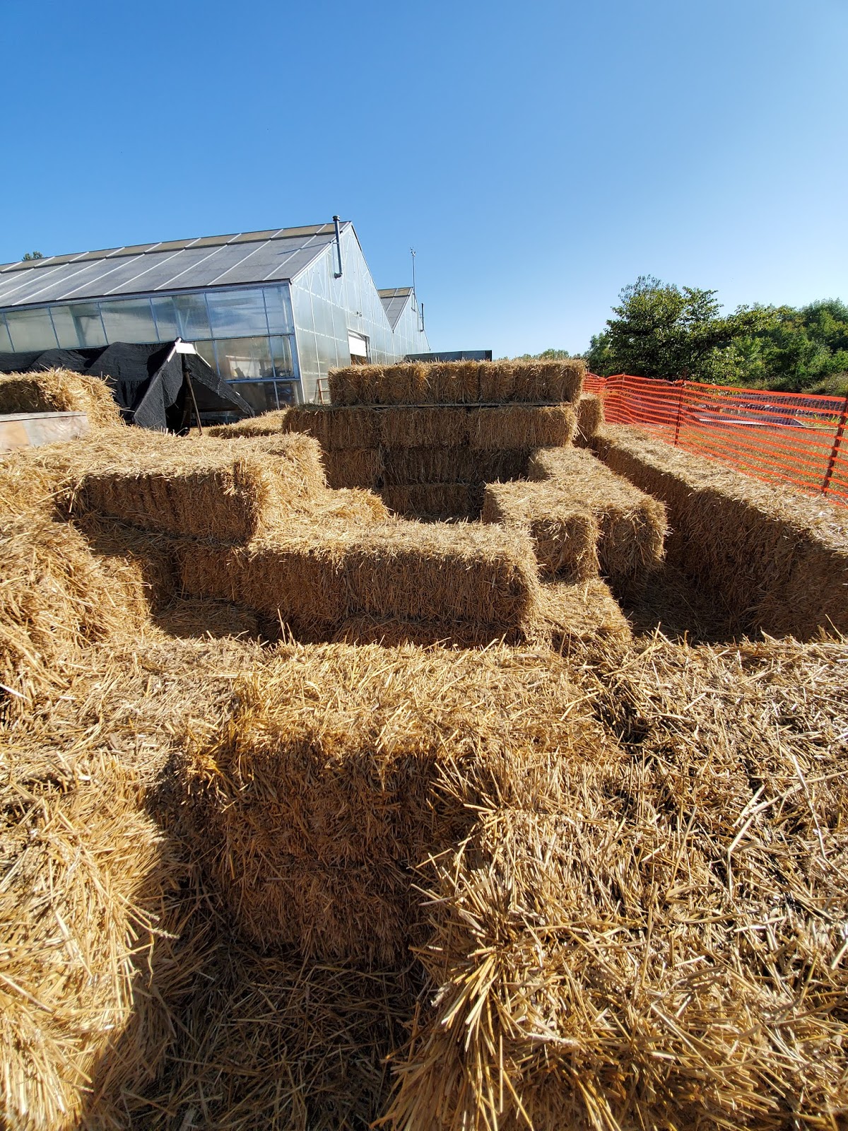 Play St. Louis: Thies Farm, St. Charles