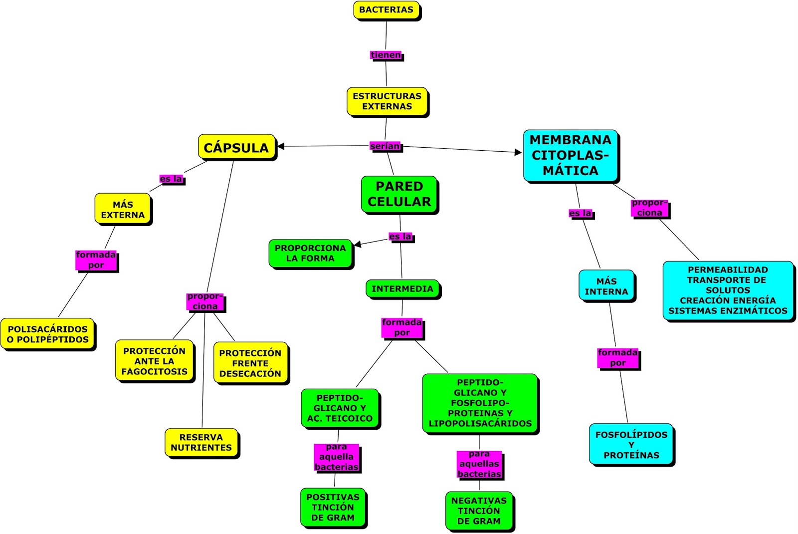 Mapa Conceptual De Metodos De Identificacion Bacteriana Studocu Images ... Mapa Conceptual De Metodos De Identificacion Bacteriana Studocu Images ...