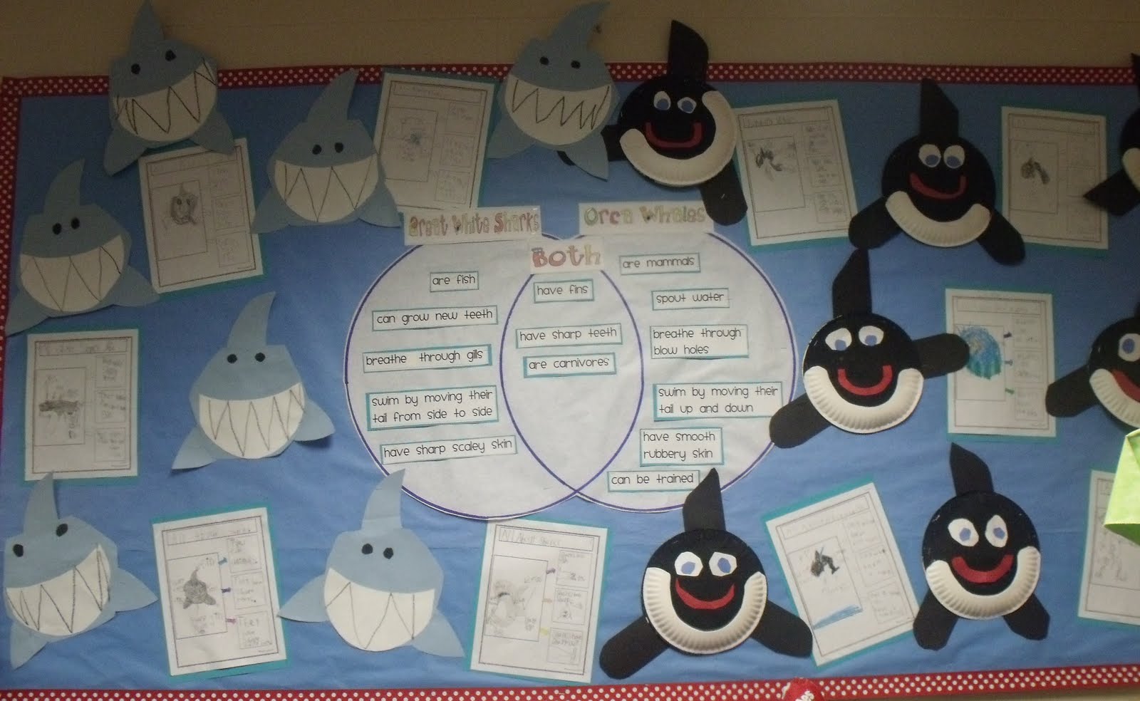 Literature and letters: Playing with sharks.....fourth grade