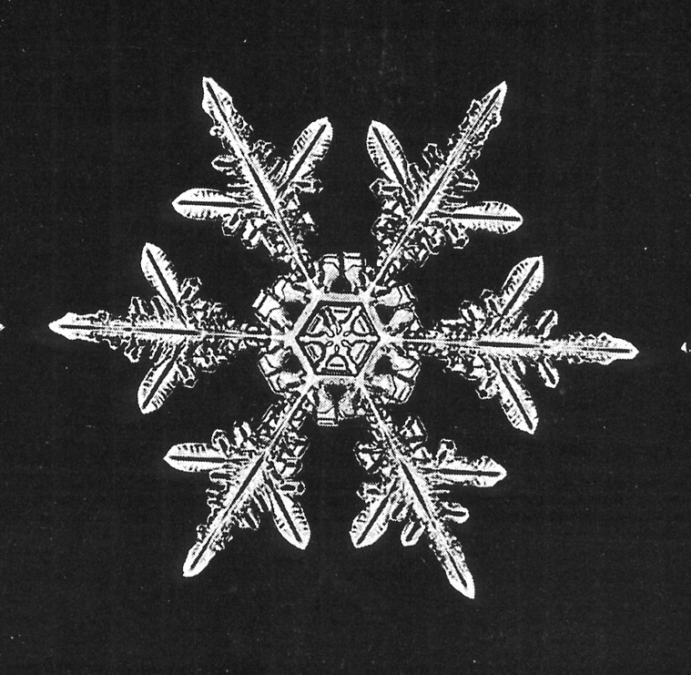 Mutated snowflakes from the Japanese nuclear react: Nuclear fallout ...