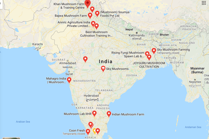 selva mushroom cultivation farm & agriculture production