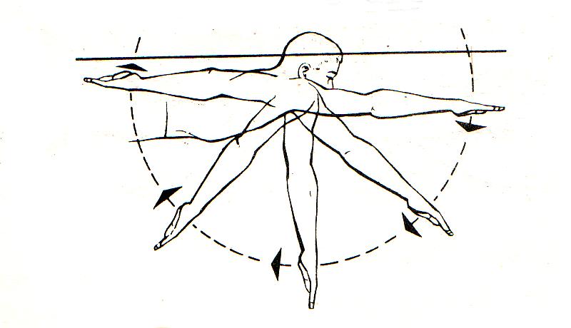 Swimming-Synergy ....: 11 / Legile mecanicii evocate la inot