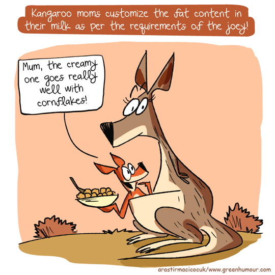 Green Humour: Kangaroo Cartoons for Arastirmaci Cocuk