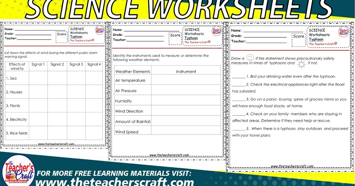 SCIENCE 5- TYPHOON WORKSHEETS - The Teacher's Craft