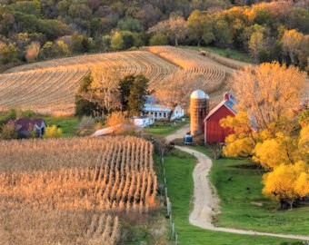 CAST: Harvest Time's Annual Makeover