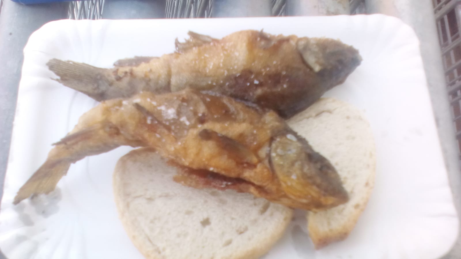 PESCA Y GASTRONOMÍA: PESCA Y GASTRONOMÍA DE LA TENCA