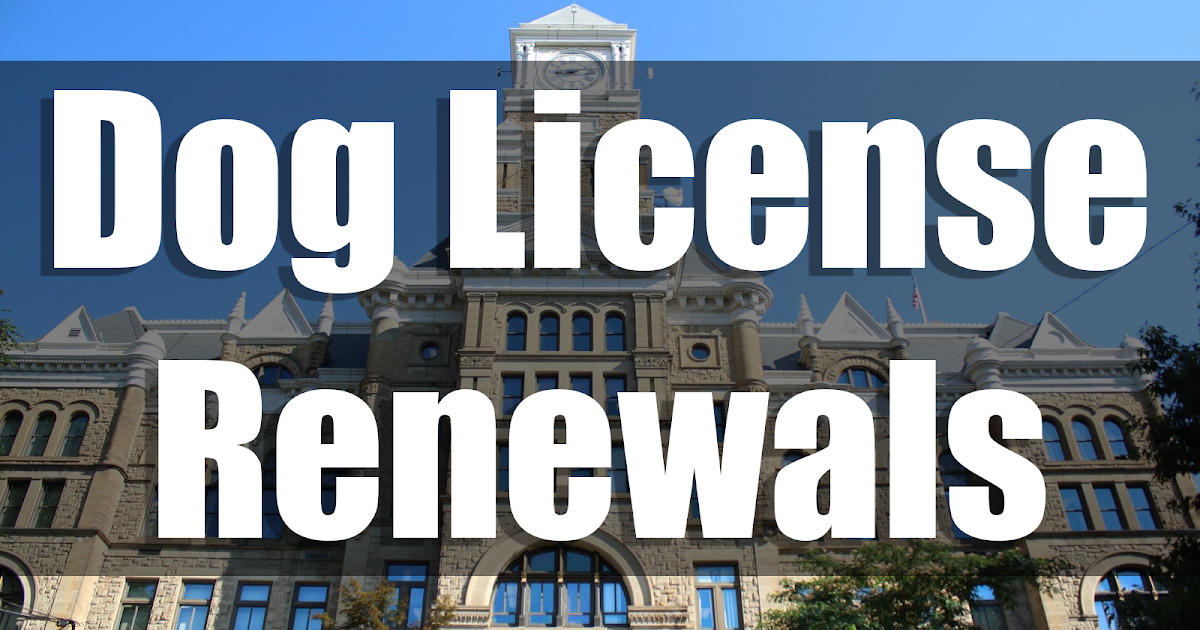 2022 Dog Licenses Now Available Through Schuylkill County Treasurer's ...