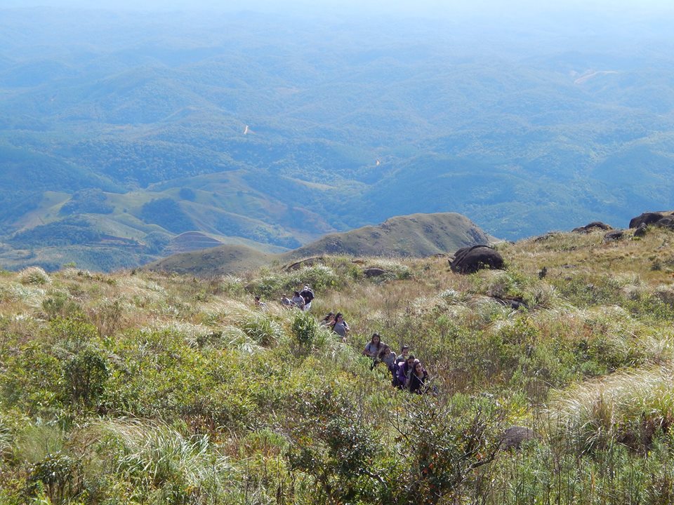 Prof. Fernando Bonato: Visita Técnica ao Morro do Capivari - Campina ...