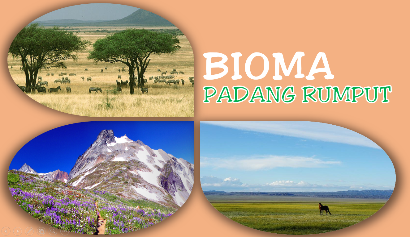 MENGENAL BIOMA PADANG RUMPUT - PatnER Geografi