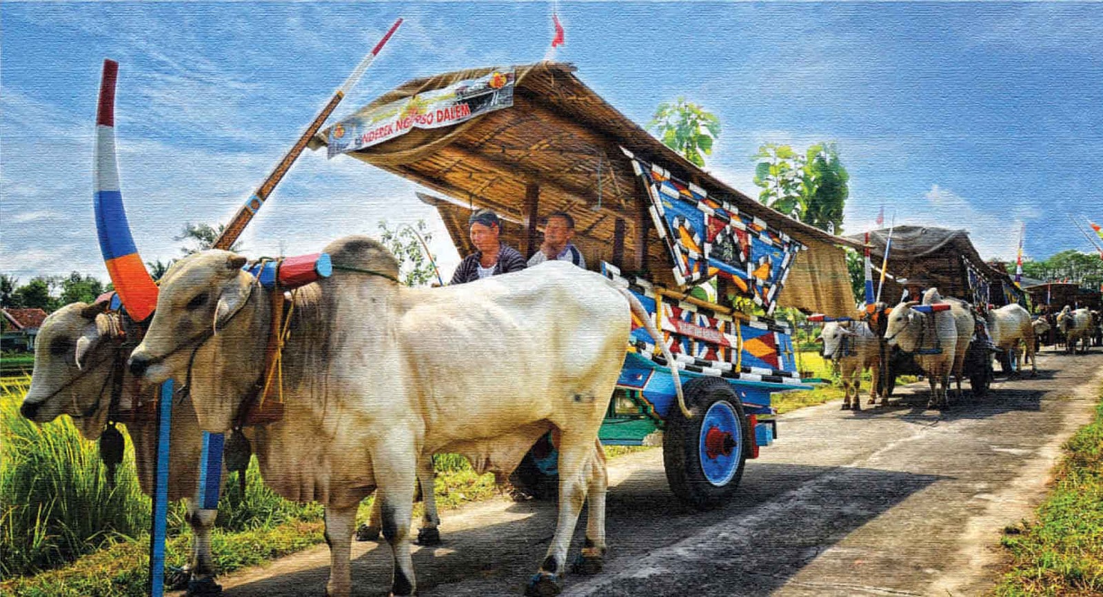Gerobak Sapi Transportasi Tradisional