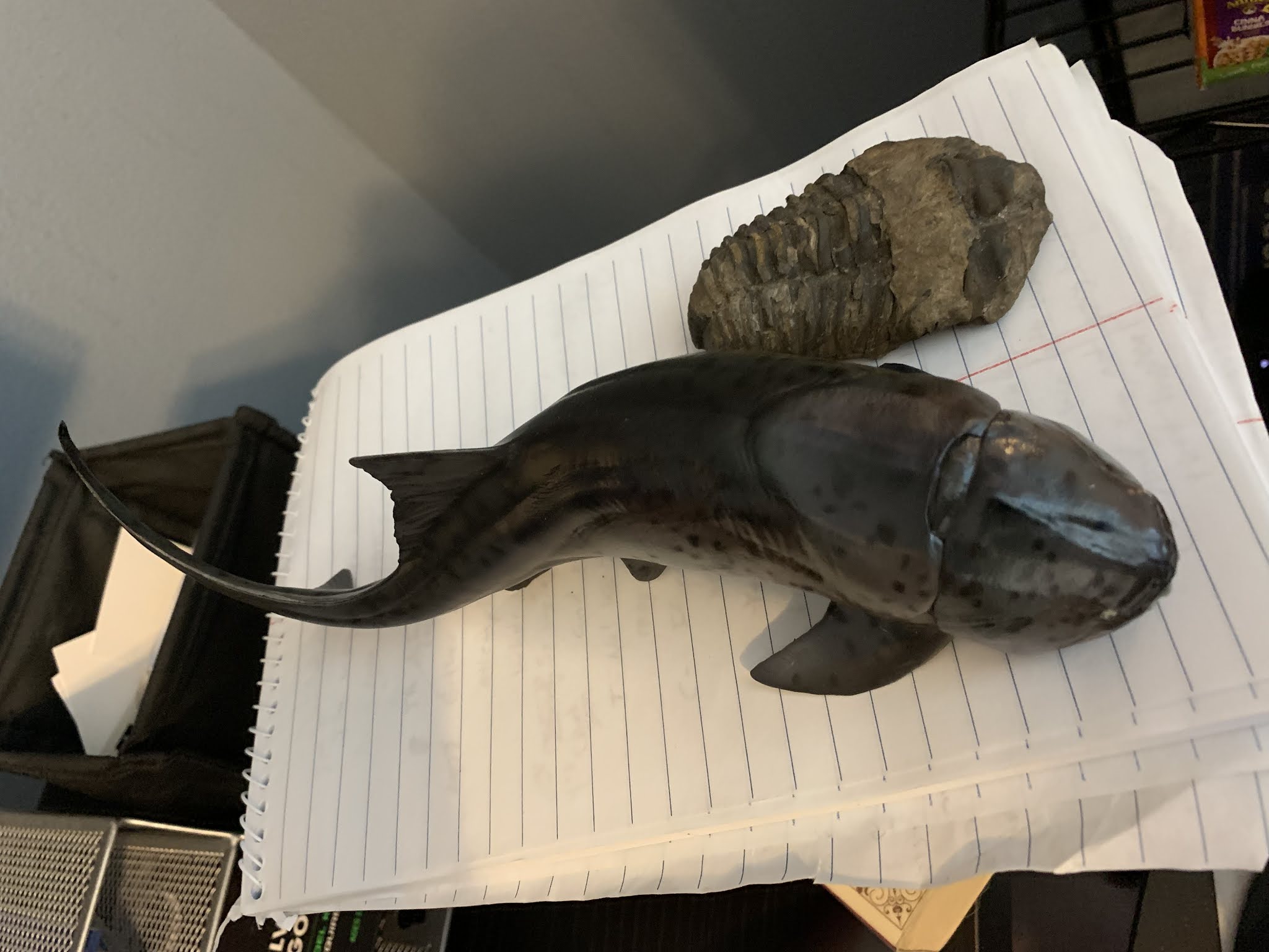Matt's Sci/Tech Blog: Dunkleosteus Model: Gorgeous New One from PNSO