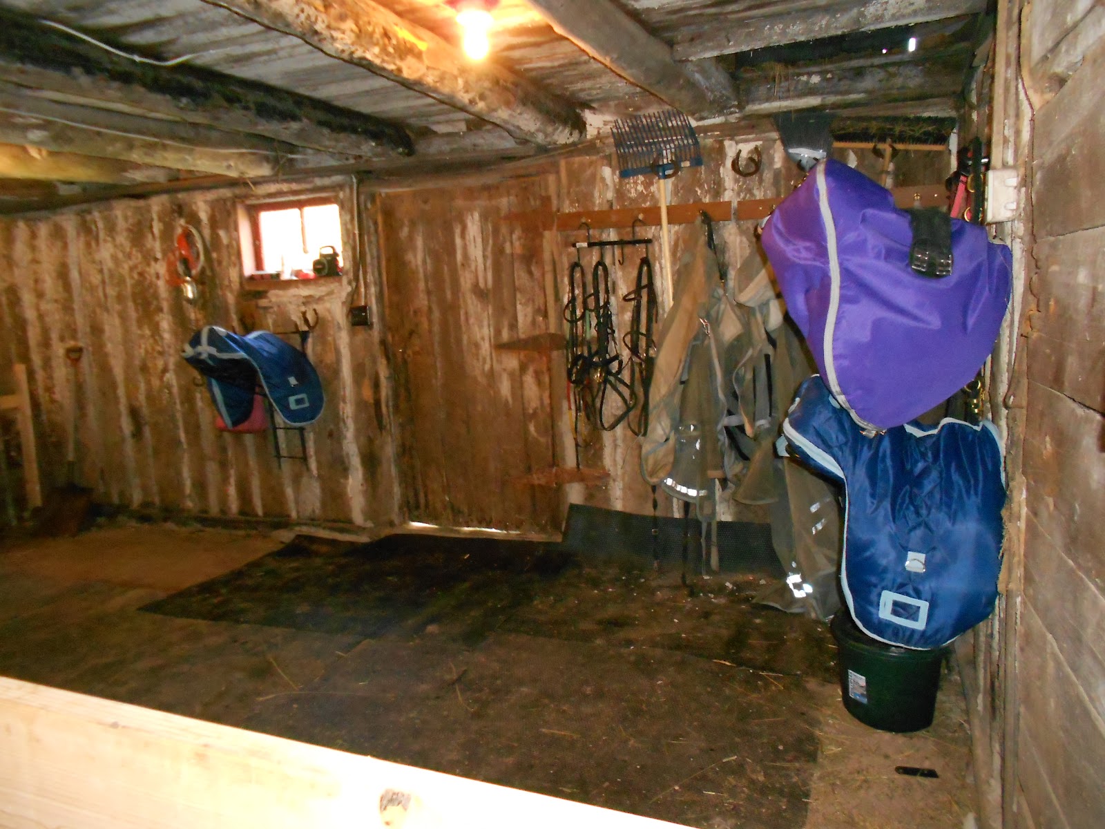 Poodles&Ponies: Extreme Barn Makeover: Version 2.0