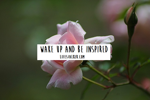 21 Simple Yet Powerful Five Word Quotes