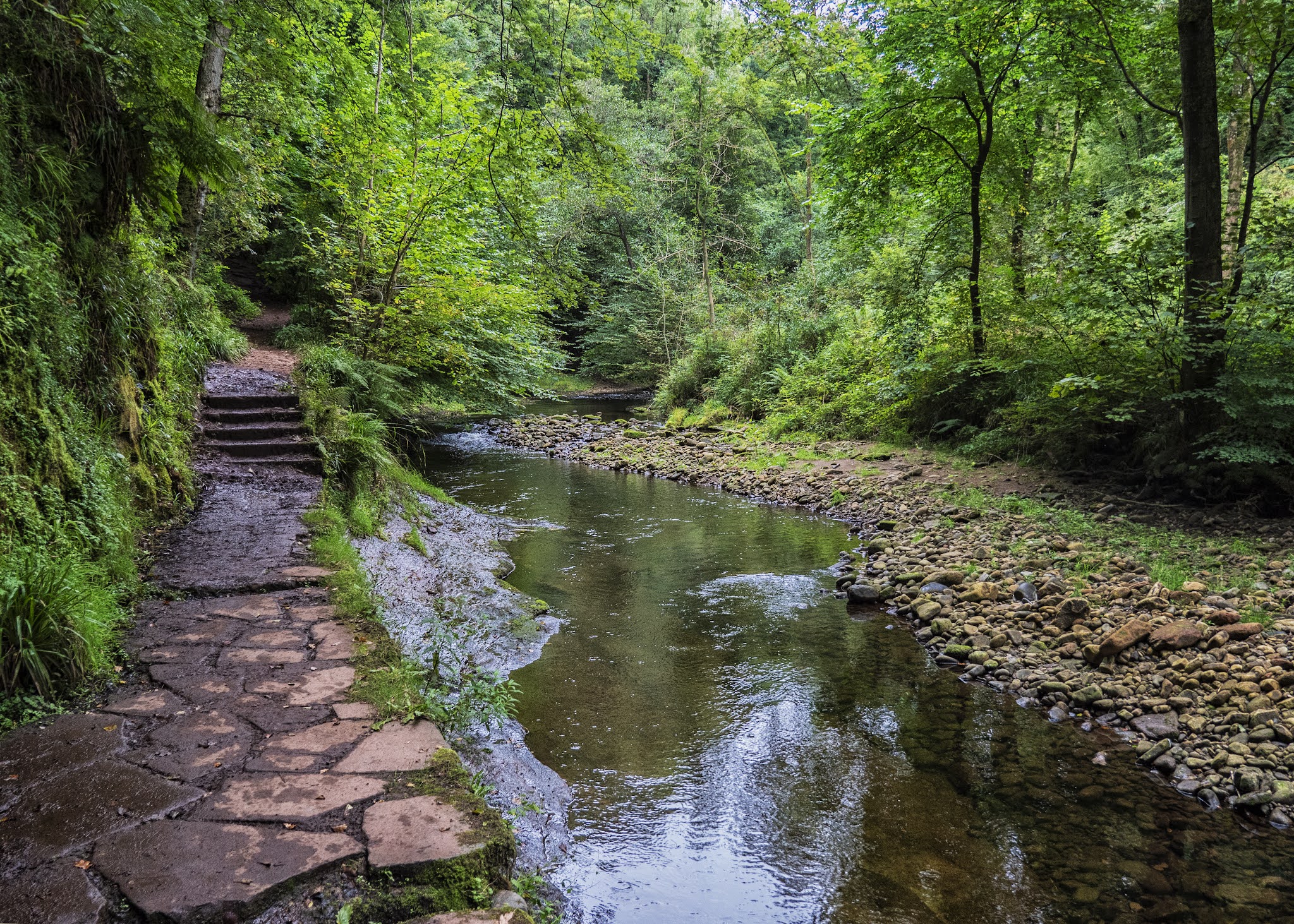 Wigtwizzle - Norman Smith's Travel Blog.: Middle and Lower Gelt Wood