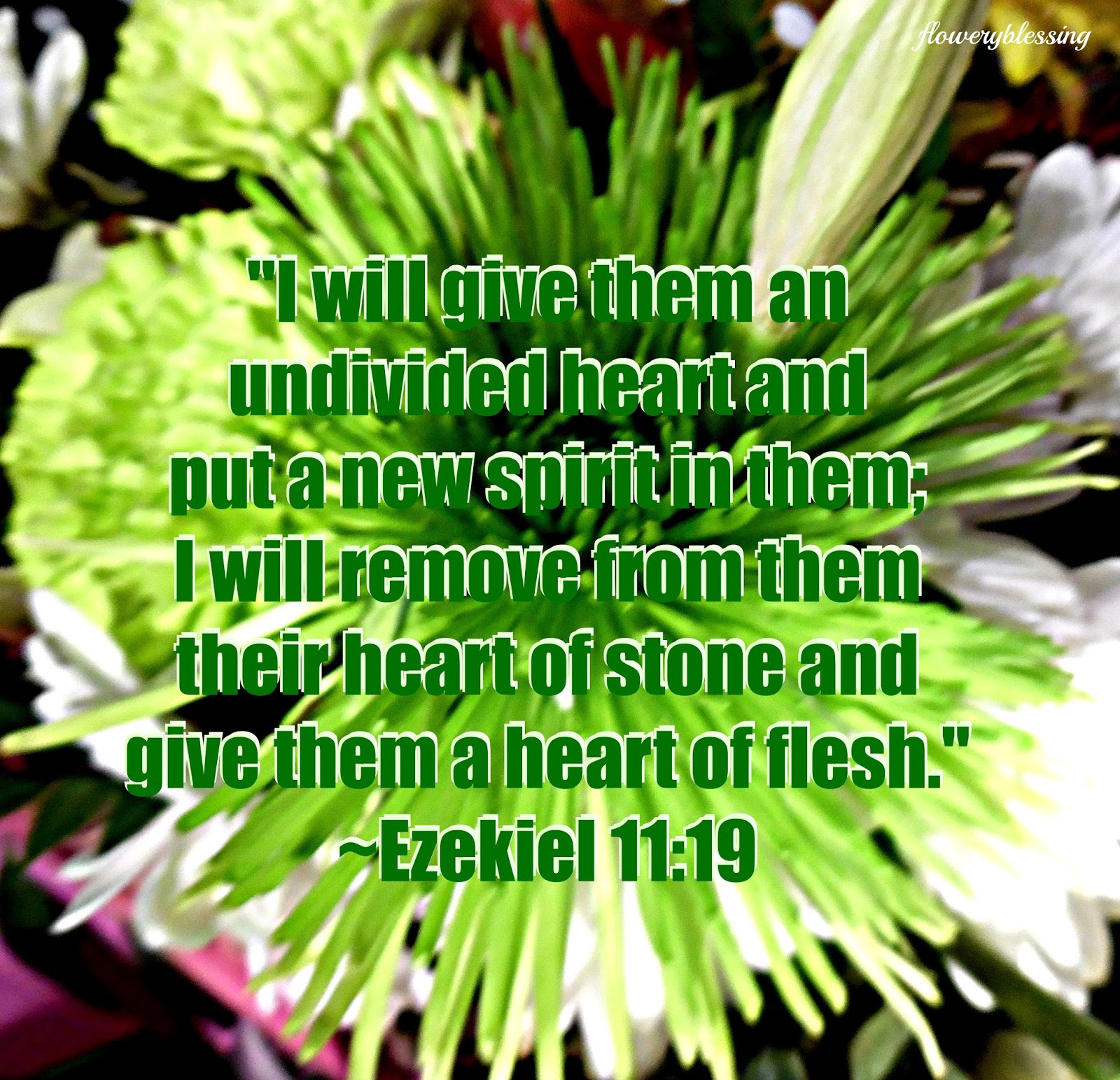 Flowery Blessing: "I will give them an undivided heart and put a new ...