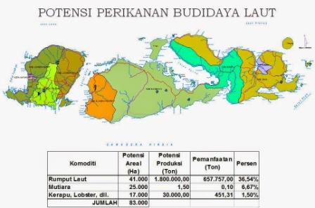 Potensi Perikanan Budidaya Laut Provinsi Nusa Tenggara Barat ~ Potensi NTB