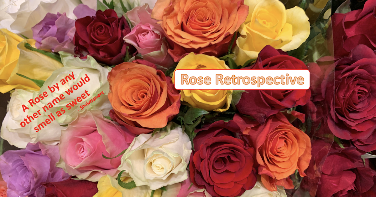 Agile Adoption Roadmap: Rose Retrospective - A Rose by any other Name