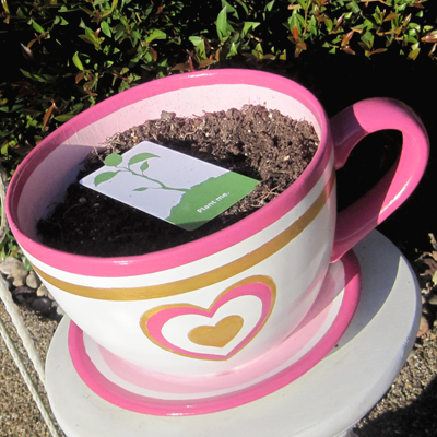 The Grown-Ups are Lying: Clean cup, clean cup. Move down.