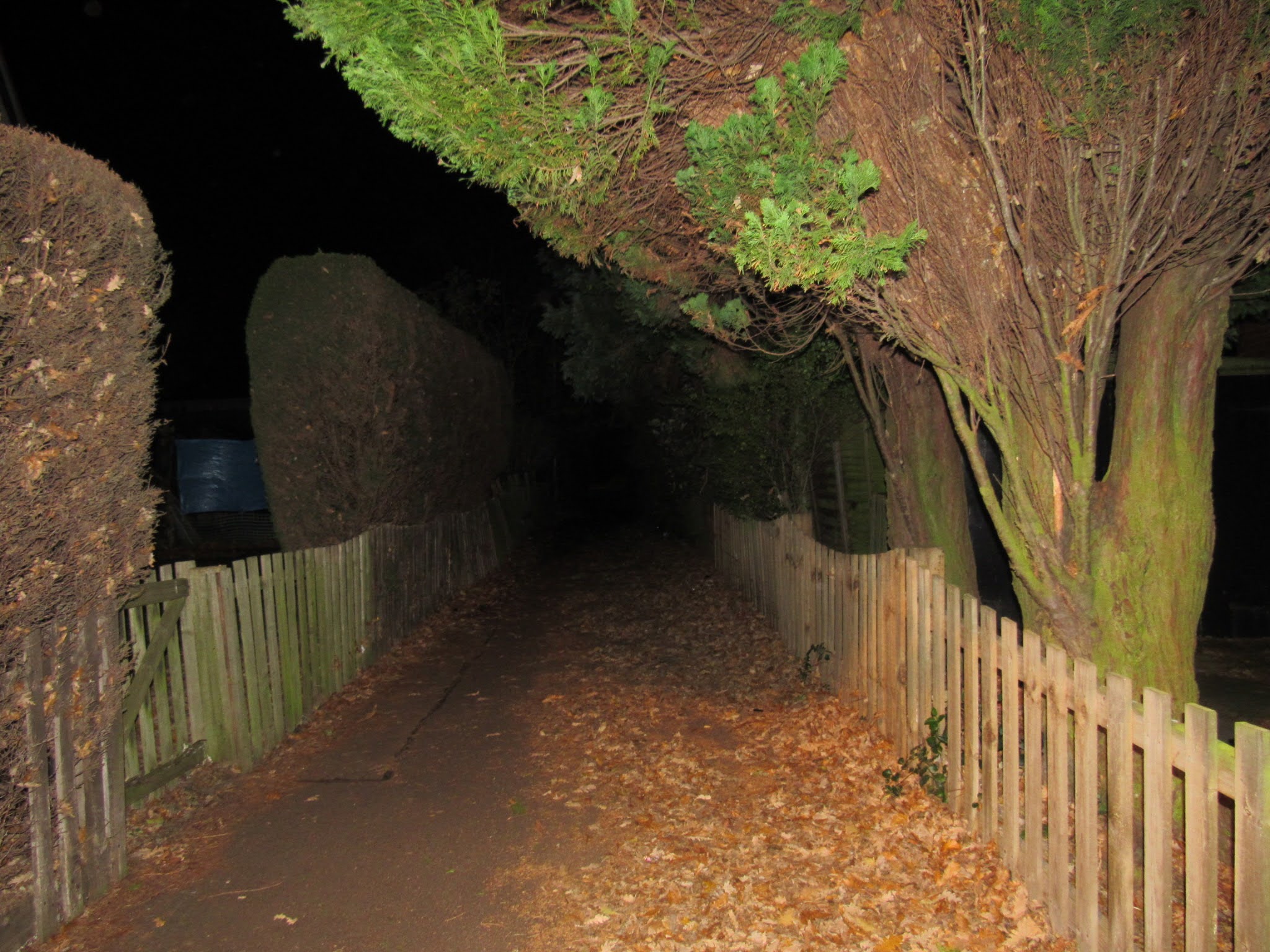 Unit 10B - Film Production