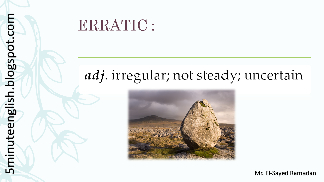 HOLT Elements of Language Vocabulary Workshop FOURTH COURSE Lesson 16