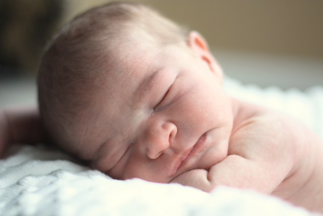 Clover Lane: I Love Babies