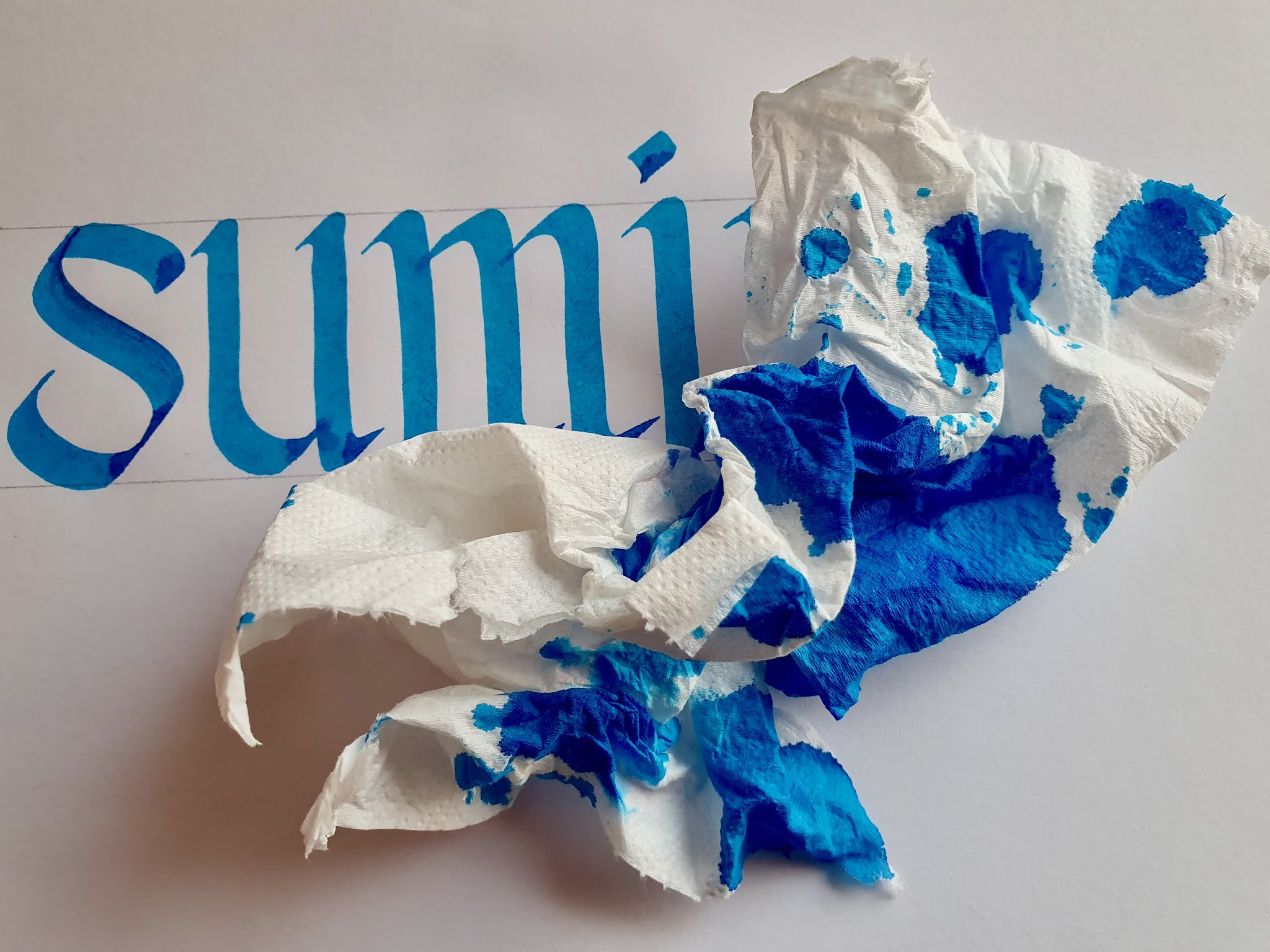 El Pajarete Orquidiado: Sailor Manyo Ink Sumire: Una flor brillante y ...