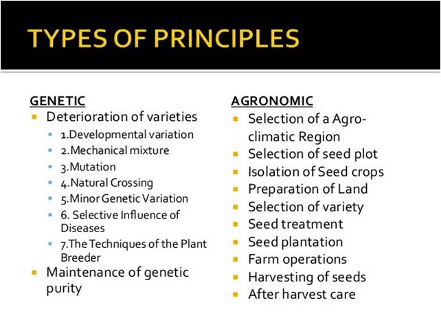 Principles of Seed Production PPT Download | Botanic Hub