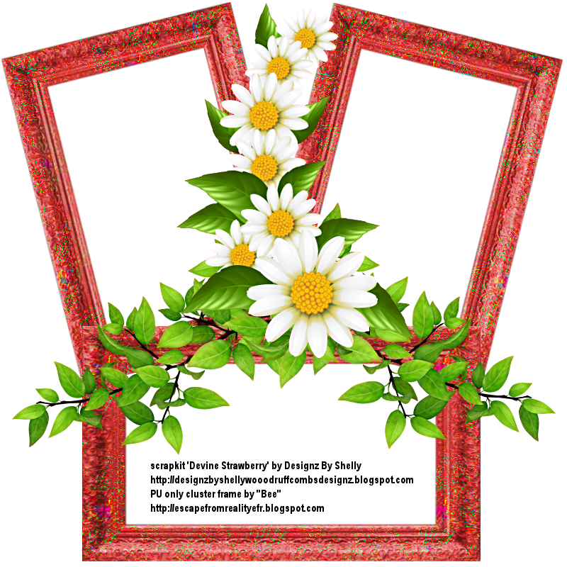 Escape From Reality Blog: Cluster Frames "Devine Strawberry" DBS - PU Only