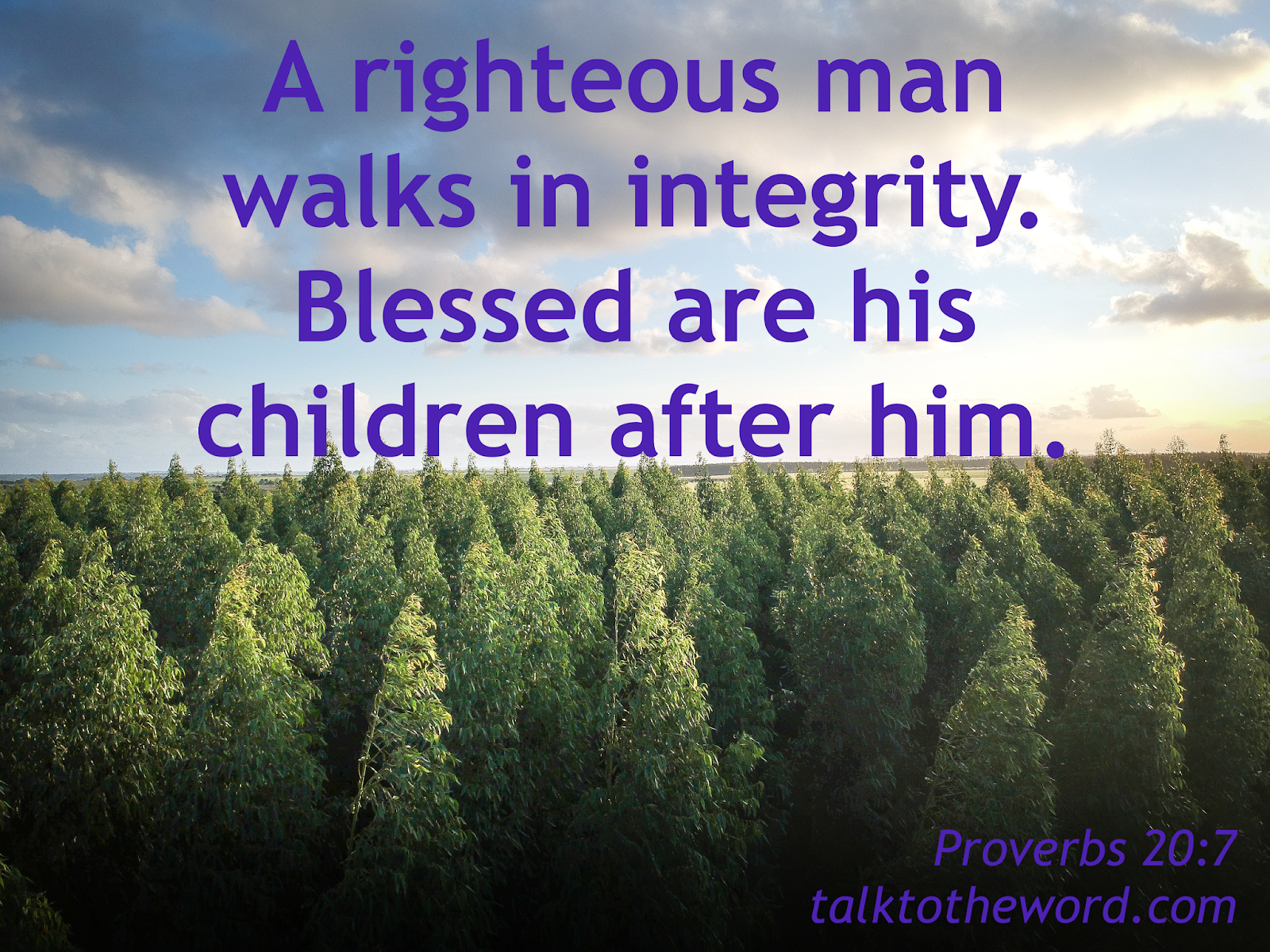 PIB Proverbs 20-22 Posters