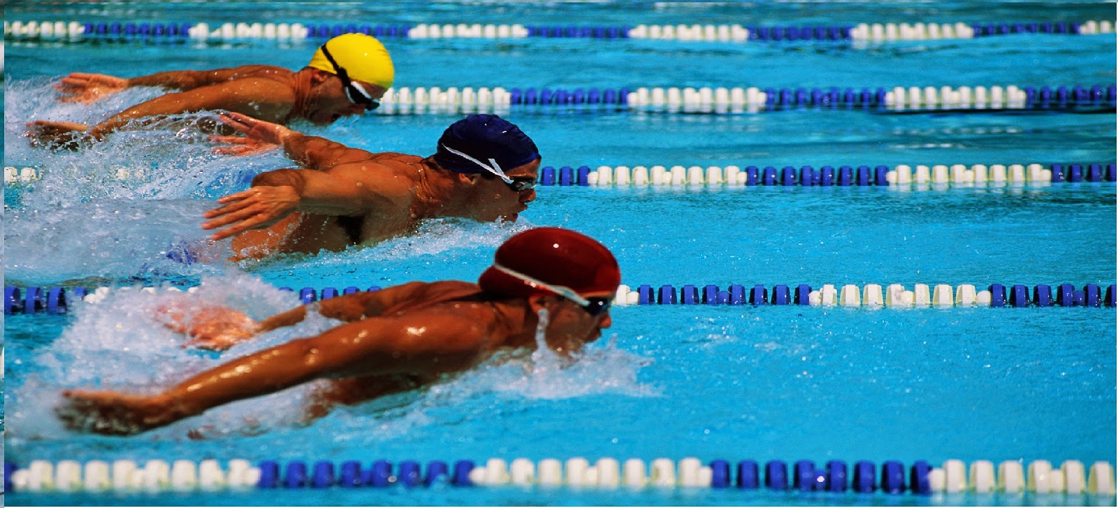 La Natación : Definicion y reglas de la Natación