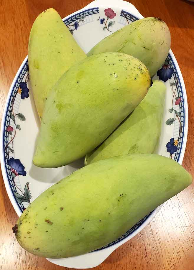 Mango Salsa | What's Cookin' Italian Style Cuisine