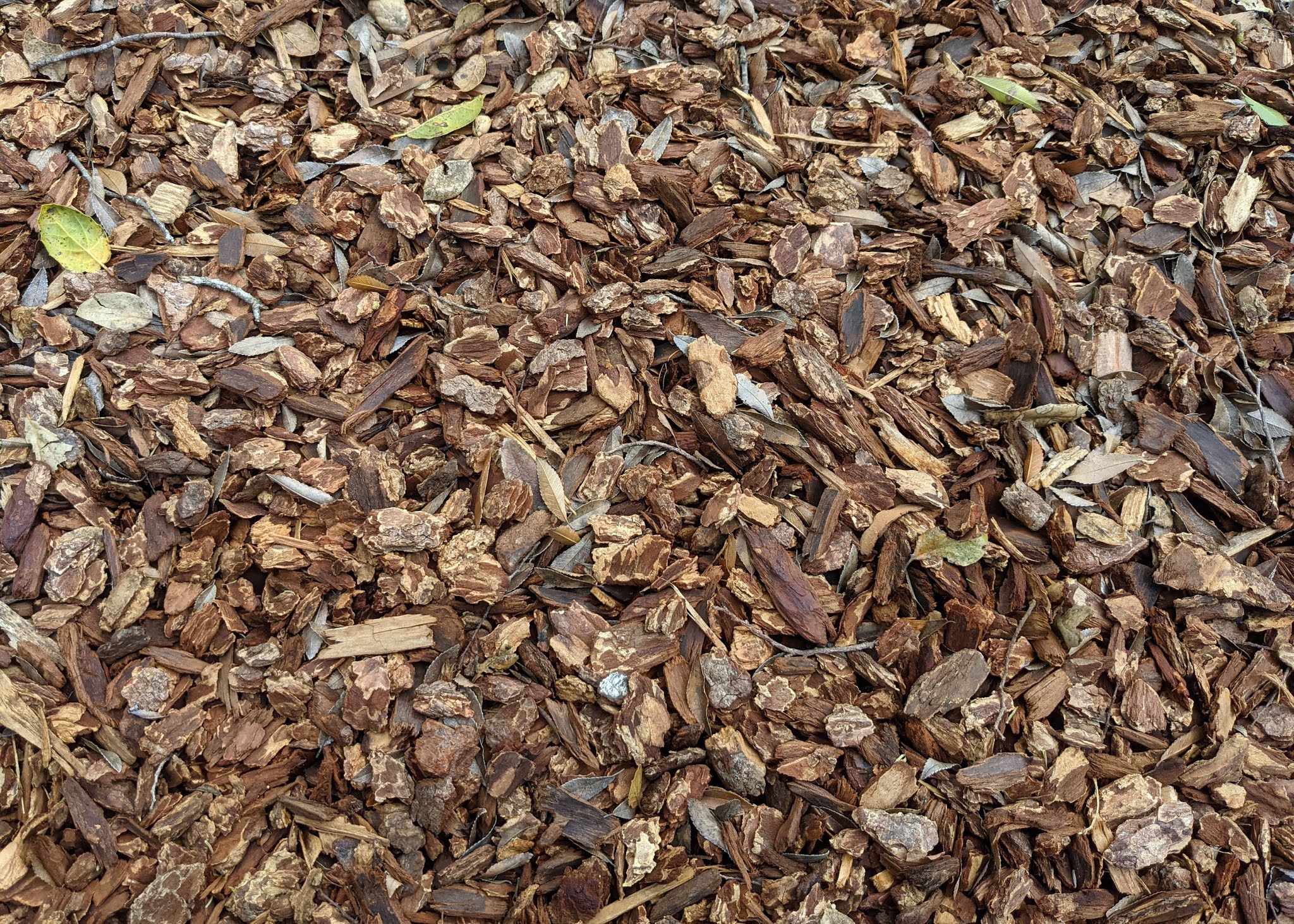Eden By The Bay: Pulling Back the Woodchip Cover