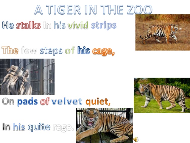 Class -X Poem -3 (First Flight) "A Tiger in the Zoo' - LESLIE NORRIS