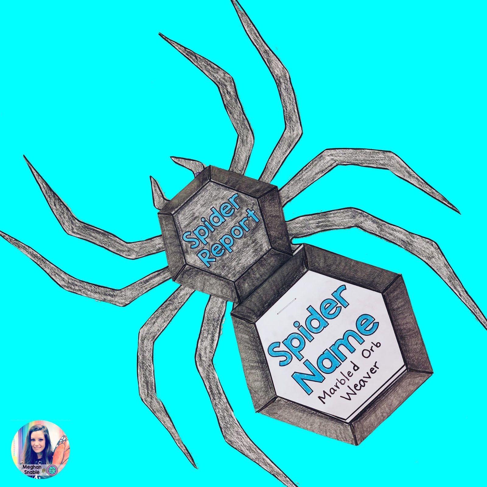 The Creative Colorful Classroom: 3-D Spider Report
