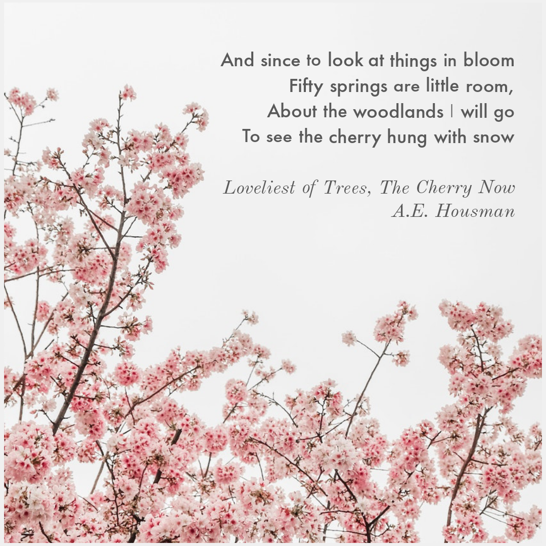 First Day Of Spring Messages Quotes And Poems To Share