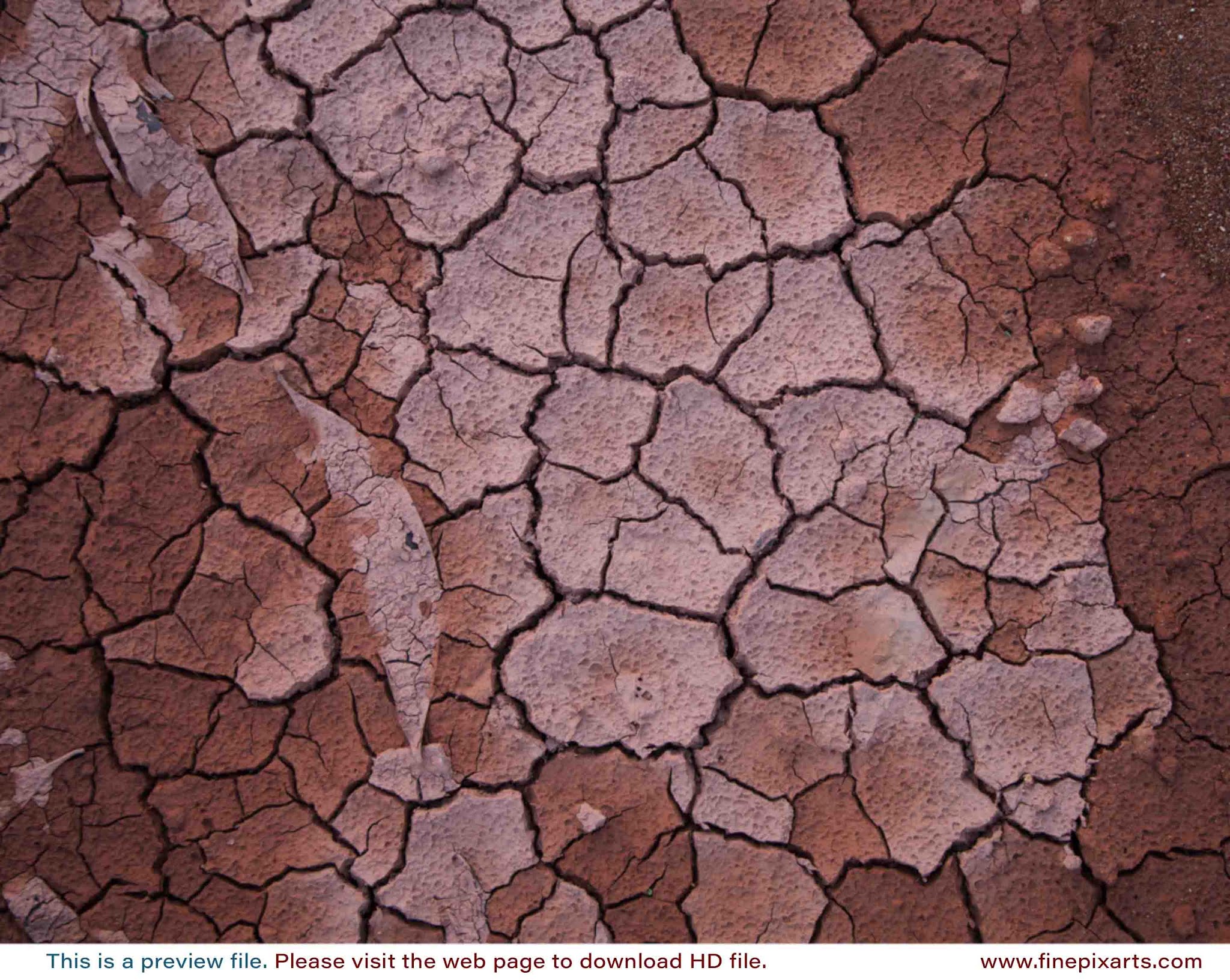Parched Land texture 00004