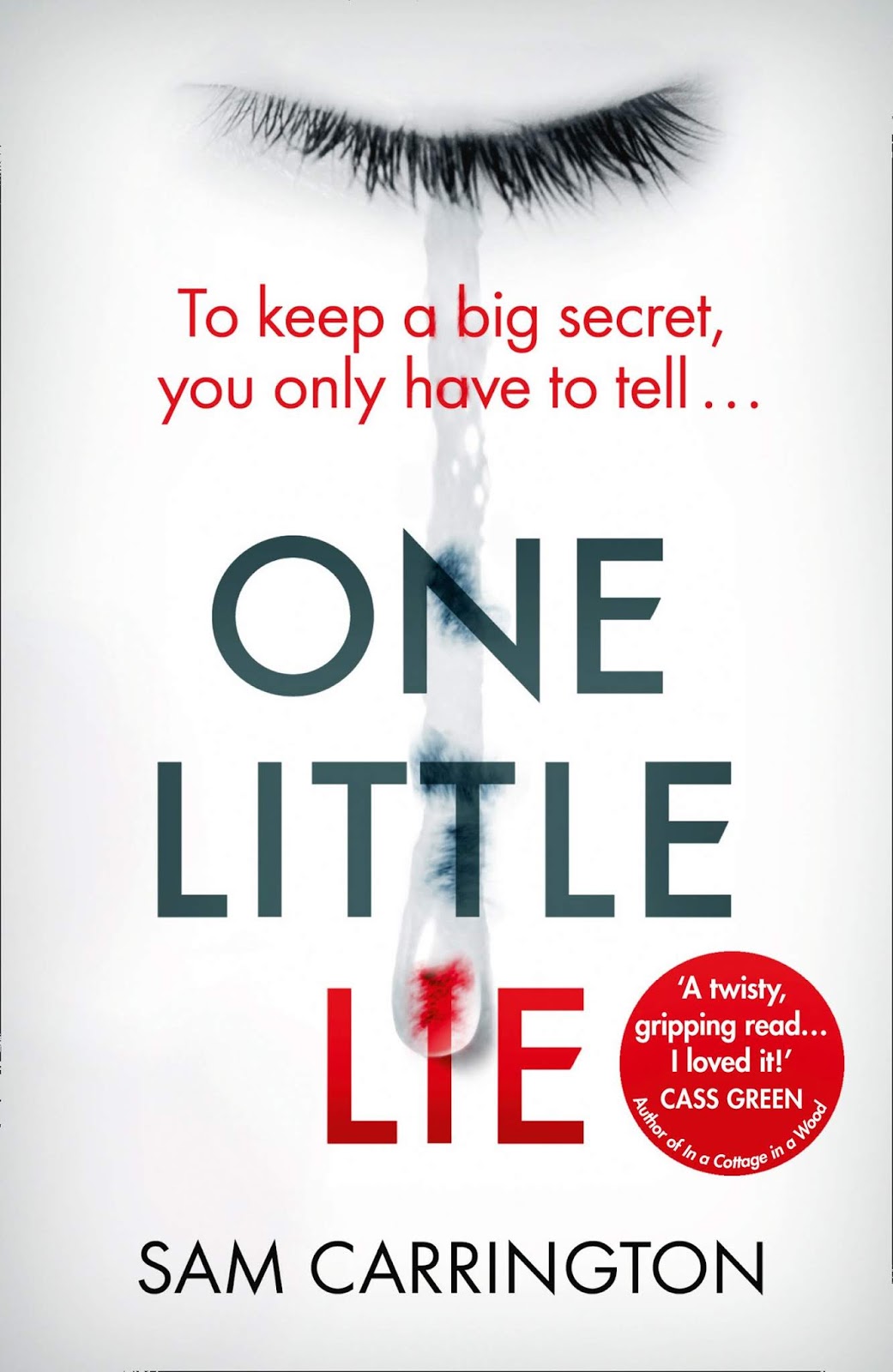 Random Things Through My Letterbox: One Little Lie by Sam Carrington ...