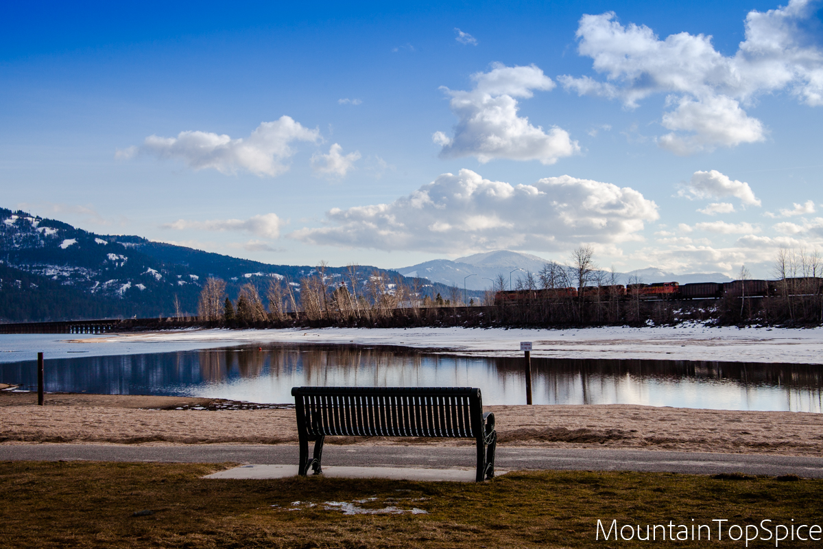 February's Winter Sunshine | Mountain Top Spice