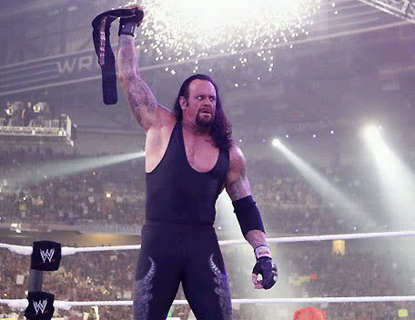 Sport Championship: WWE Summer Slam Undertaker, WWE Unforgiving The ...