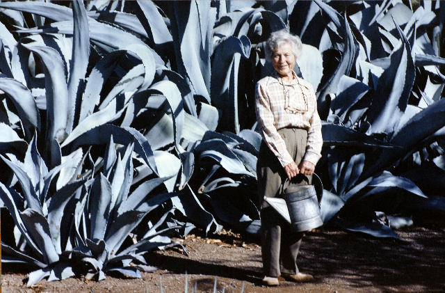 danger garden: The Ruth Bancroft Garden; Part 1, plants for sale