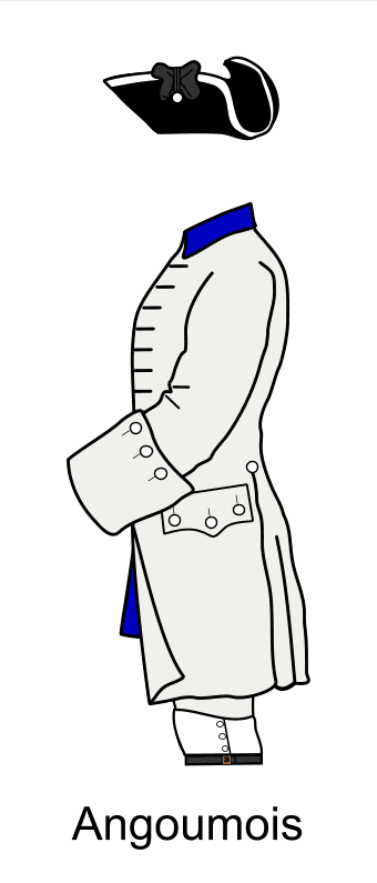 Not By Appointment: Flags of French Regiment Angoumois