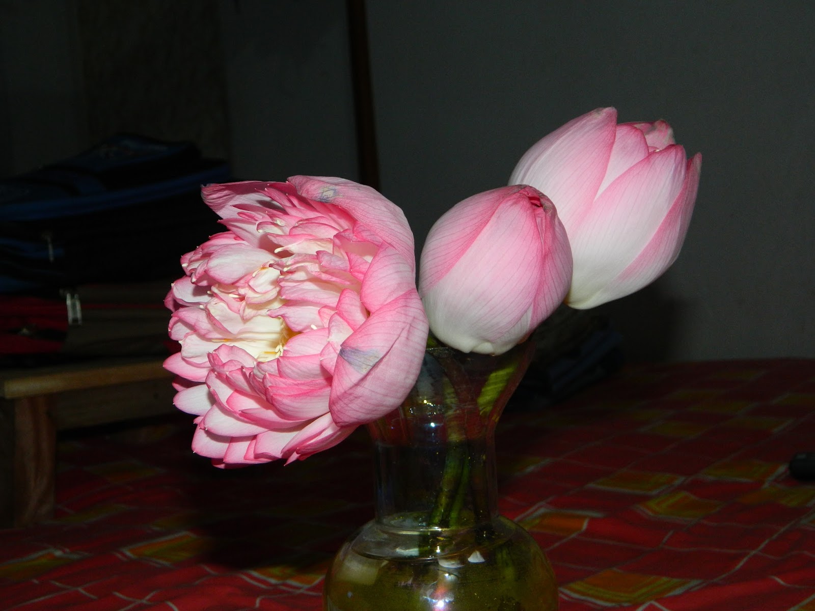 Lotus Flower for Durga Puja