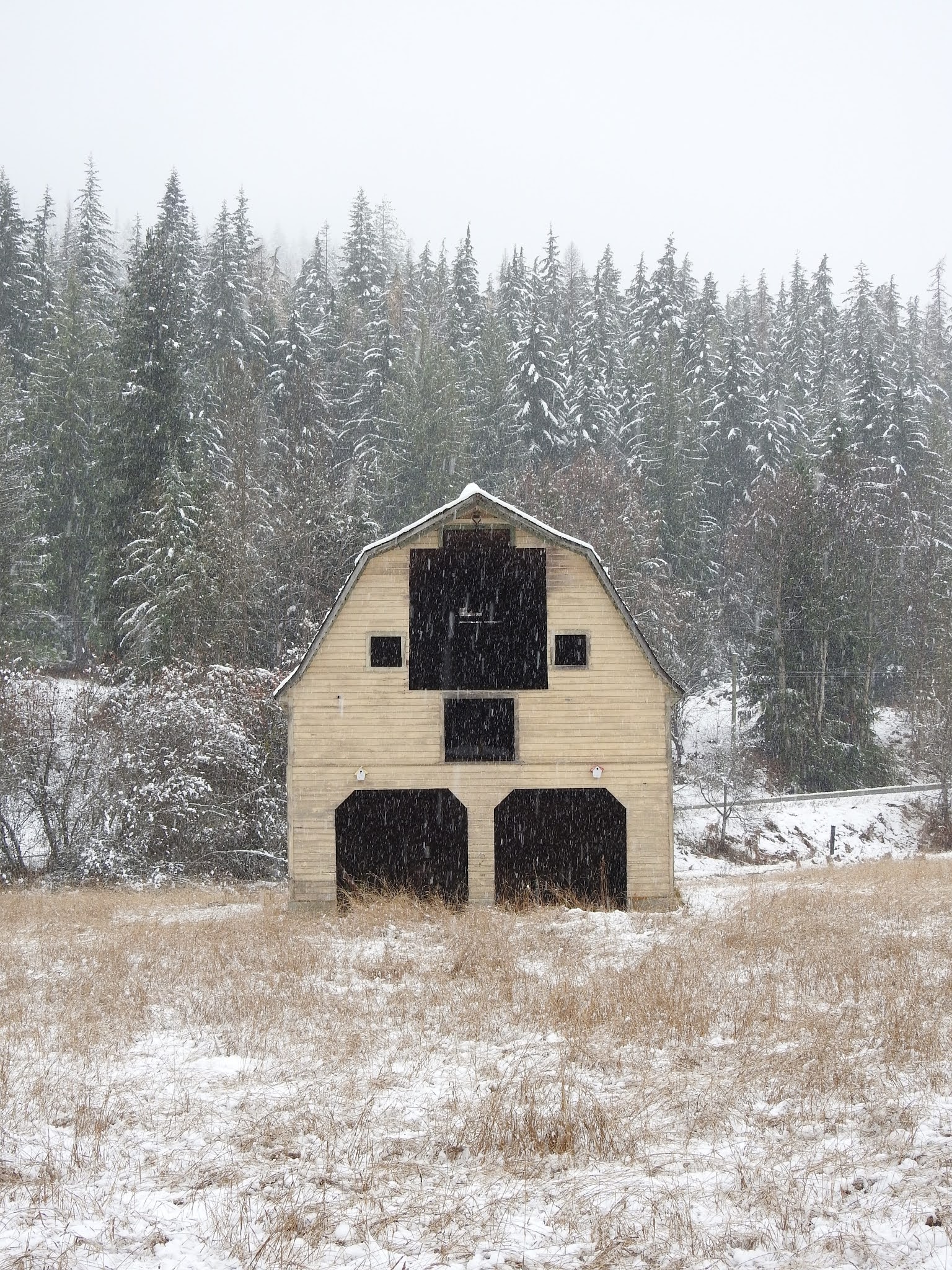 The view from here: Barn in Harrop, BC - November 13, 2020