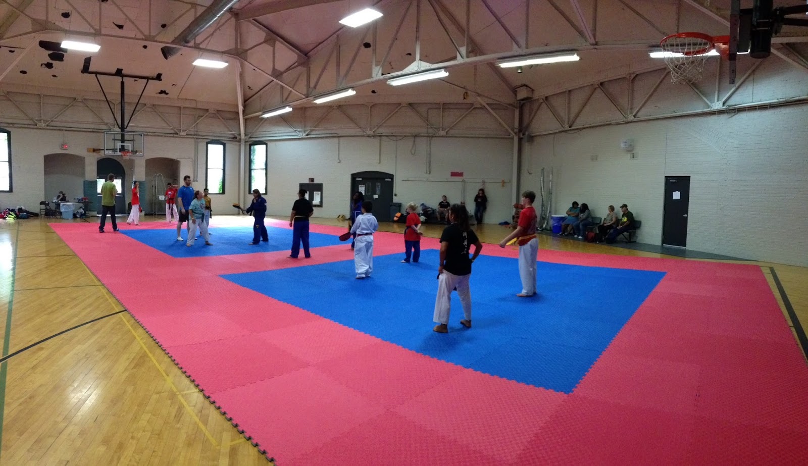 American Taekwondo & Fitness: 2016