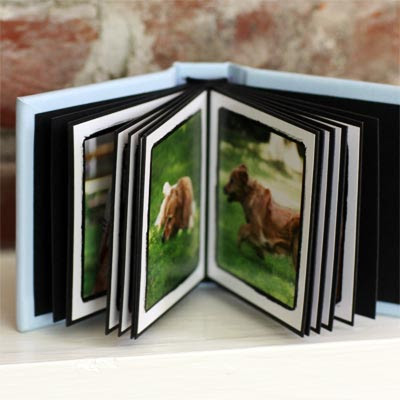 Silver Trumpets : Gift Ideas - Uses for Small Photo Albums