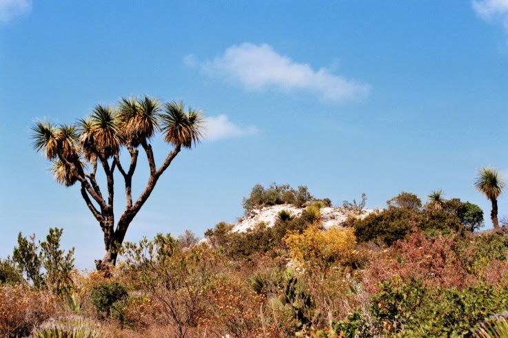 Zonas Arqueológicas de Puebla: El Tecamachalco prehispánico