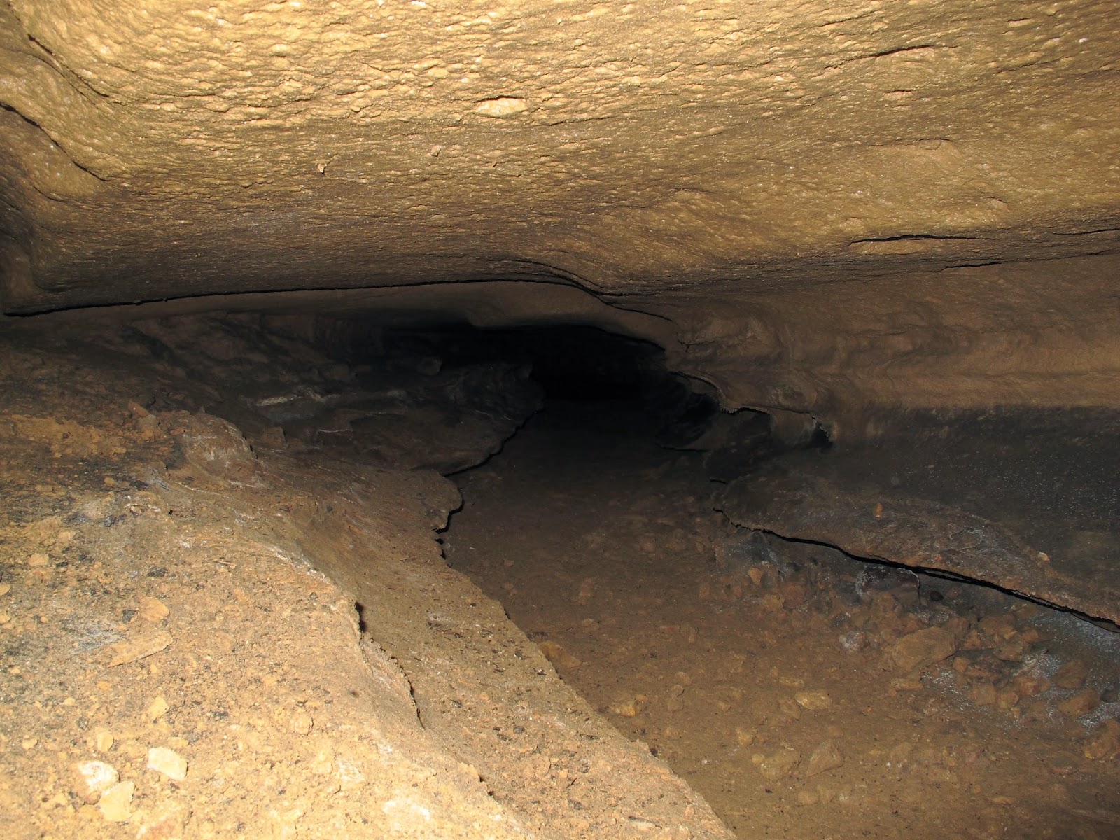 SUICIDE CAVE - ADAM HAYDOCK